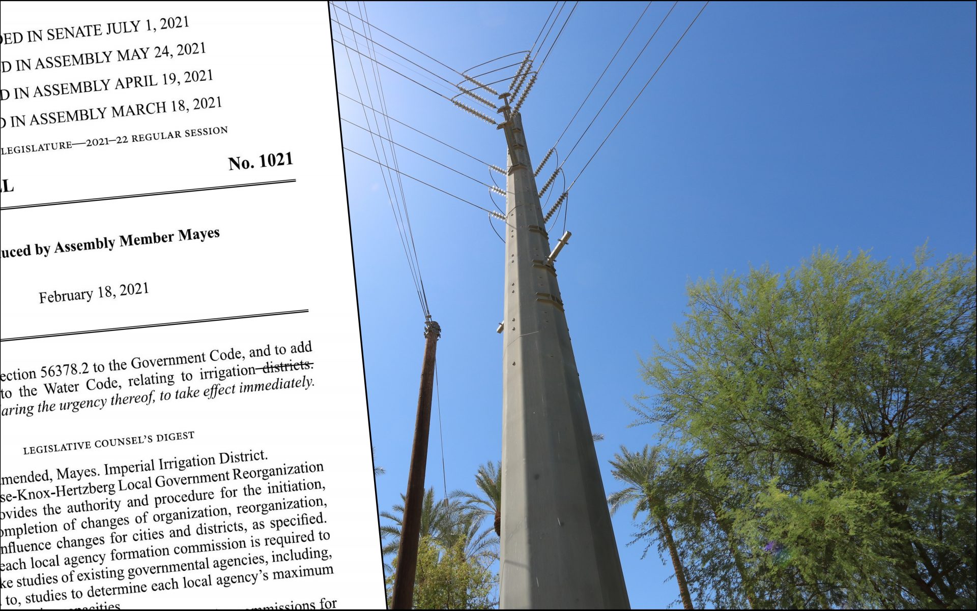 AB 1021 Made Toothless, But Will It Bite Again? » Holtville Tribune