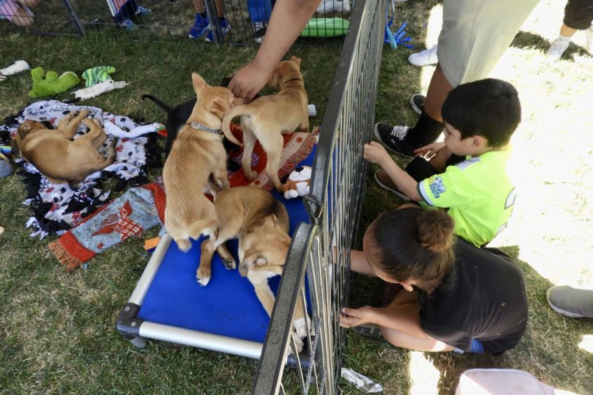 The Holtville Tribune Serving Holtville Ca And Imperial County Since 1905