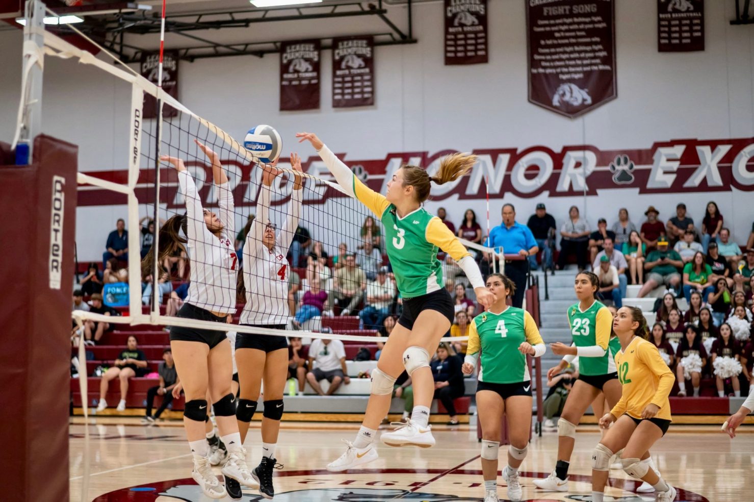 Three Vikings on All-IVL First Team » Holtville Tribune