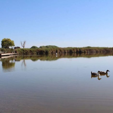 The Holtville Tribune - Serving Holtville CA and Imperial County Since 1905