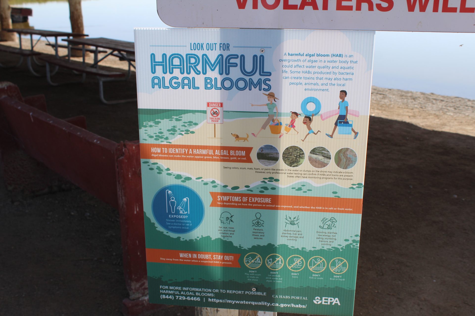 Is Toxic Algae Bloom at Wiest Lake Over? » Holtville Tribune