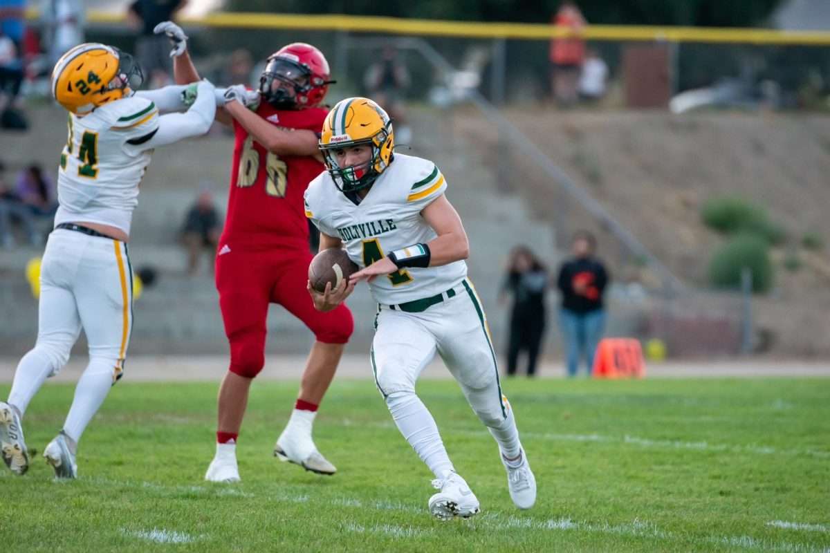 Sophomore QB Tosses 3 TDs as Vikings Win Big » Holtville Tribune