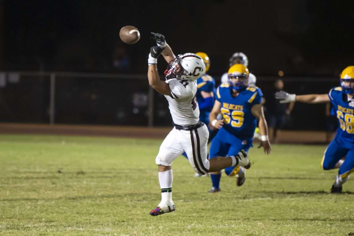 FOOTBALL: ’Cats Scratch Out 40-0 Win Over ’Dogs » Holtville Tribune