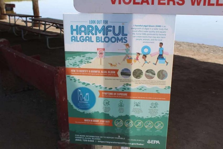 Brawley’s Wiest Lake Algae Issue Gets Some Help » Holtville Tribune