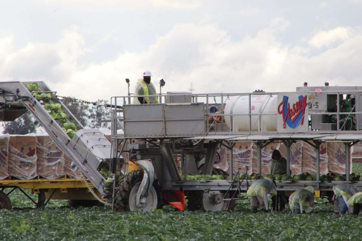 Farmers Talk Crops, Shop for Ag Week » Holtville Tribune