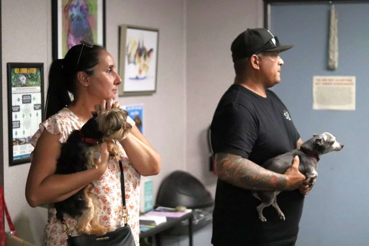 IV Humane Society Summer Goal to ‘Empty the Shelter’ » Holtville Tribune